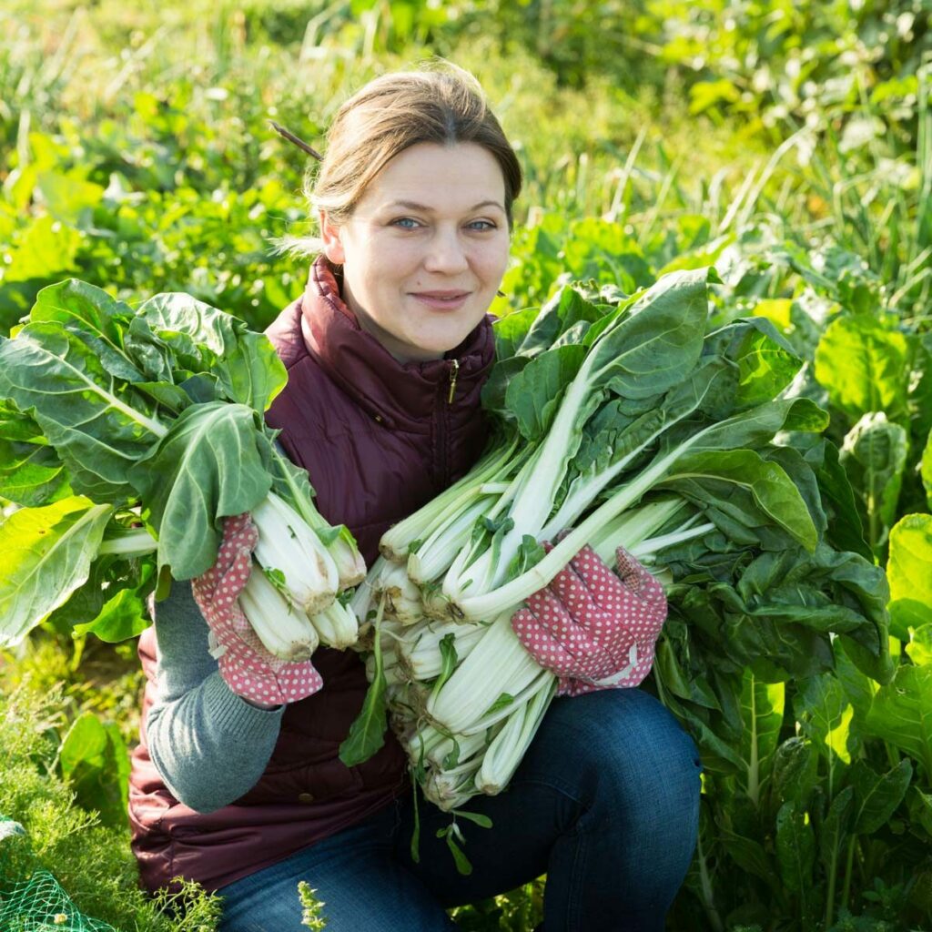 Local Food Directory & Farm Shops | Food Finders Hub